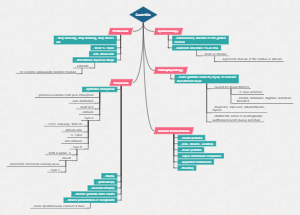 Gastritis | Mind Map - EdrawMind