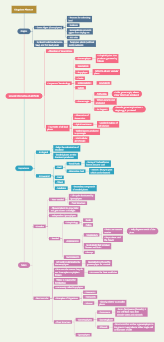Kingdom Plantae | Mind Map - EdrawMind
