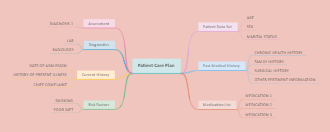 Patient Care Plan | Mind Map - EdrawMind