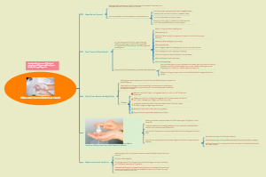 When and How to Wash Your Hands | Mind Map - EdrawMind