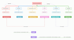 Neurotransmitters | Mind Map - EdrawMind