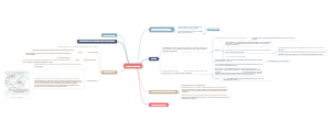 Renal Physiology | Mind Map - EdrawMind