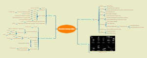 Chocolate Factory - Cailler | Mind Map - EdrawMind