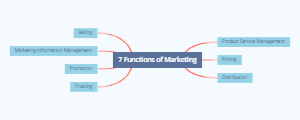 7 Functions of Marketing | Mind Map - EdrawMind