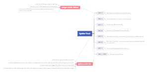 Spider Tool | Mind Map - EdrawMind
