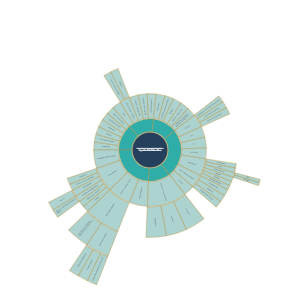 Myocardial Infarction Circular Map | Mind Map - EdrawMind