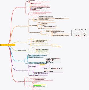 Pmp-15 Life Cycle Options | Mind Map - Edrawmind