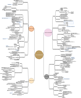 Information Management Chapter 1 | Mind Map - EdrawMind