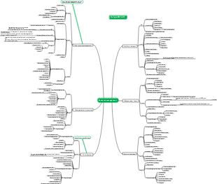 Pmp-resource Management Review | Mind Map - Edrawmind
