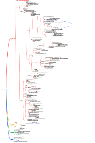 microorganismos procarióticos | Mind Map - EdrawMind