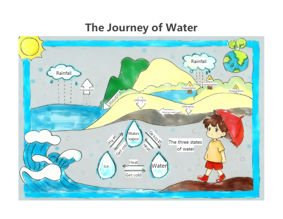 The Water Cycle: Journey of Water | EdrawMax Templates