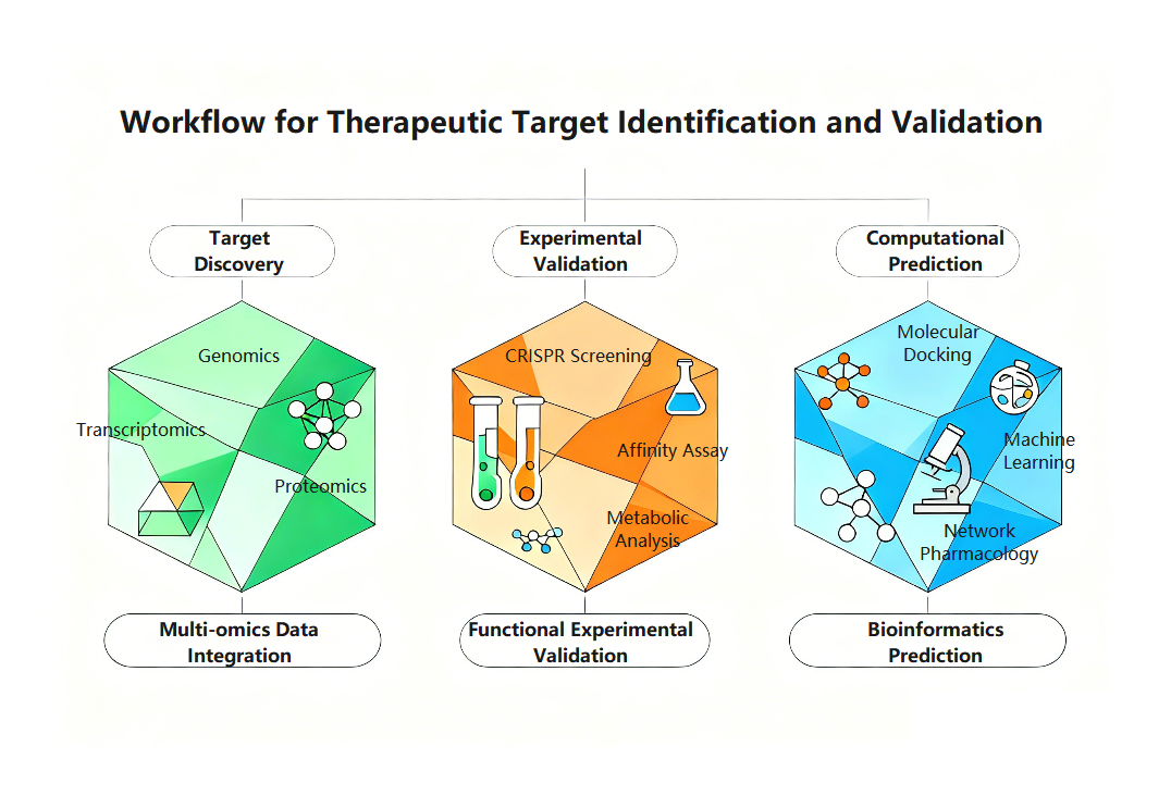 Therapeutic Target Identification Workflow | EdrawMax Templates