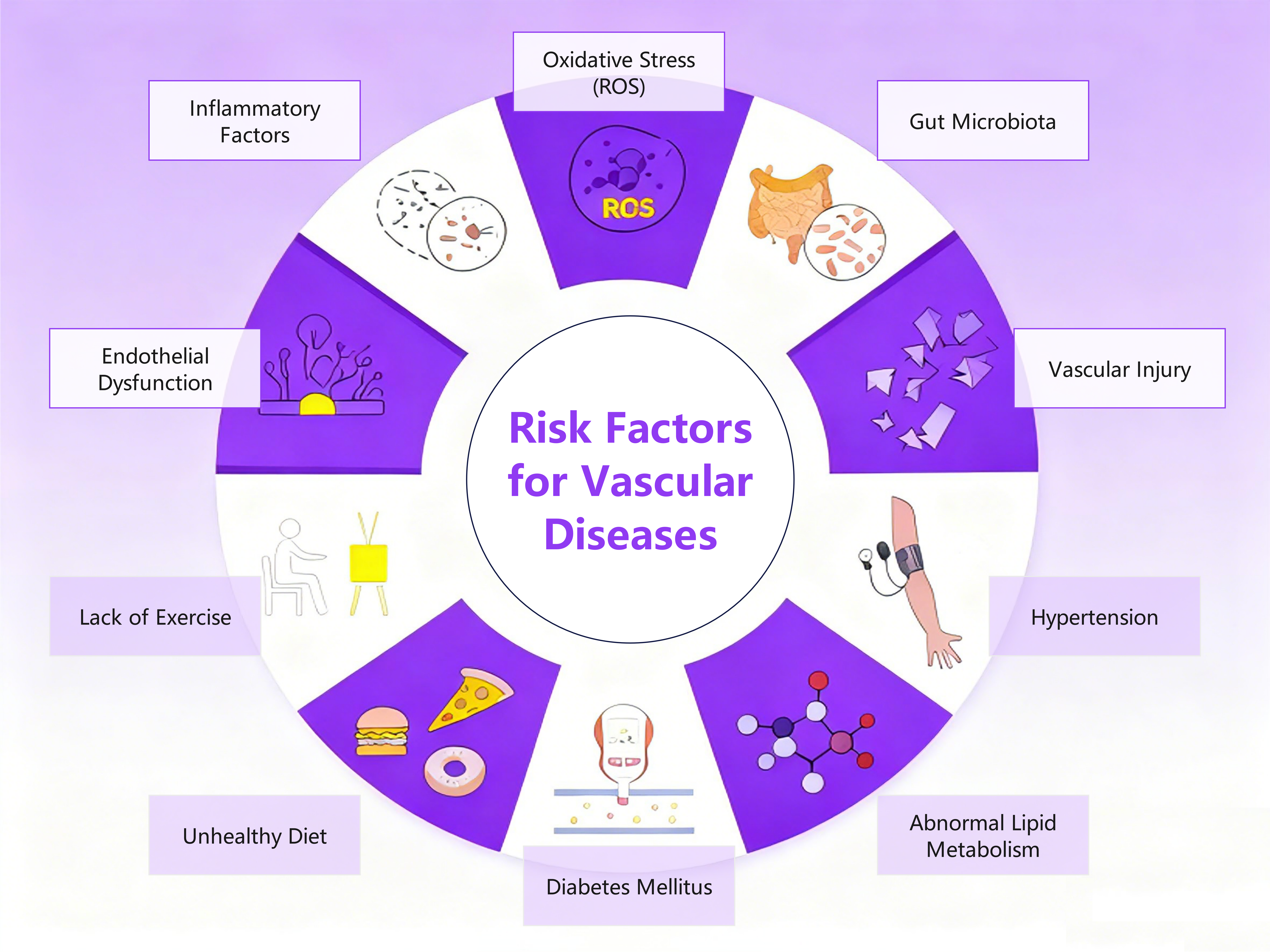 Vascular Disease Risk Factors: An Overview | EdrawMax Templates