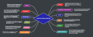 PLACE OF ARTICULATION | Mind Map - EdrawMind