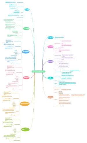 Yr 3 Geography- Australia's Neighbours | Mind Map - EdrawMind